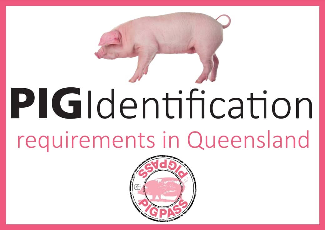 NLIS Biosecurity - Bones Knob Butchery